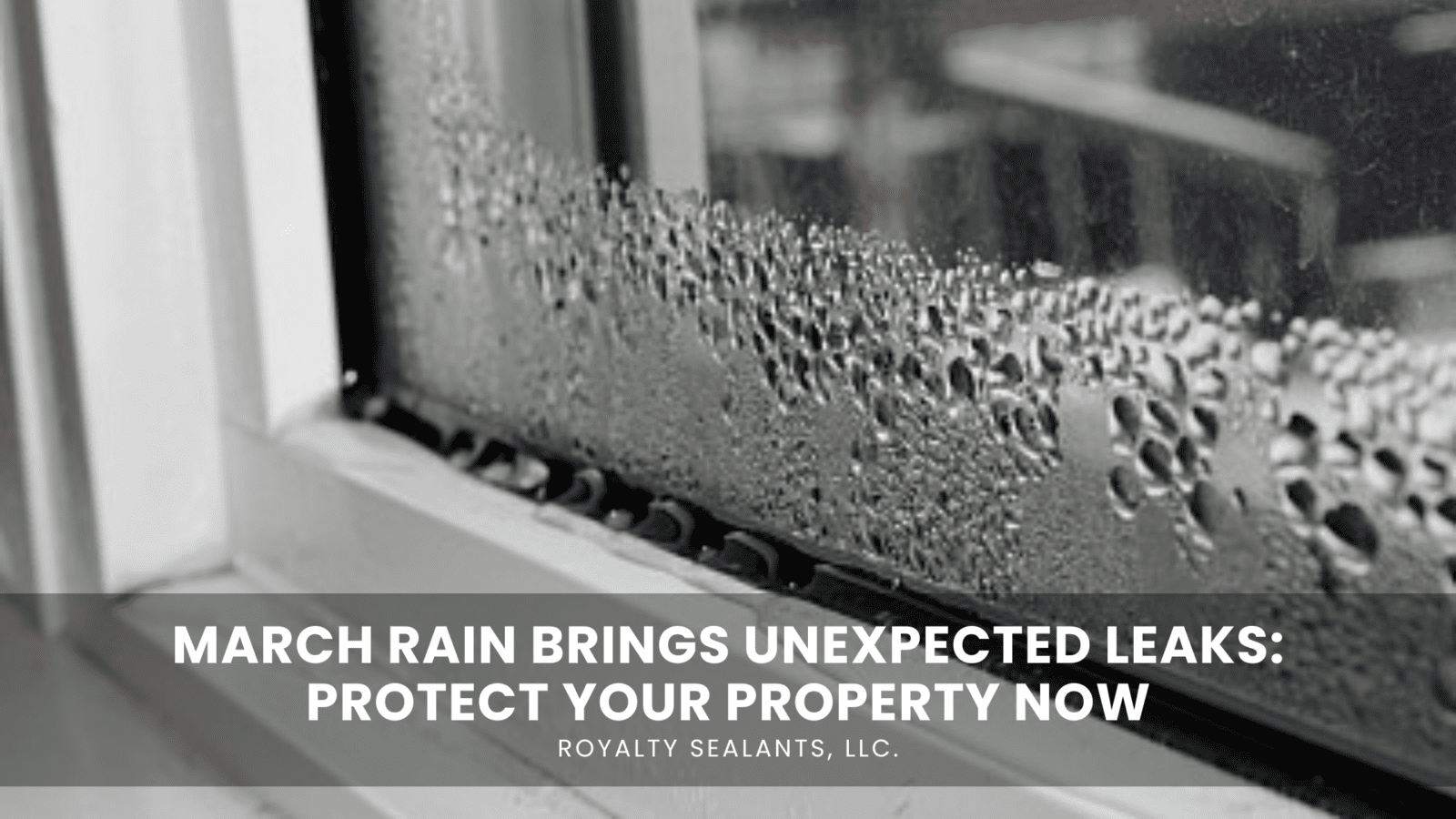 March Rain Brings Unexpected Leaks: Protect Your Property Now - Royalty ...
